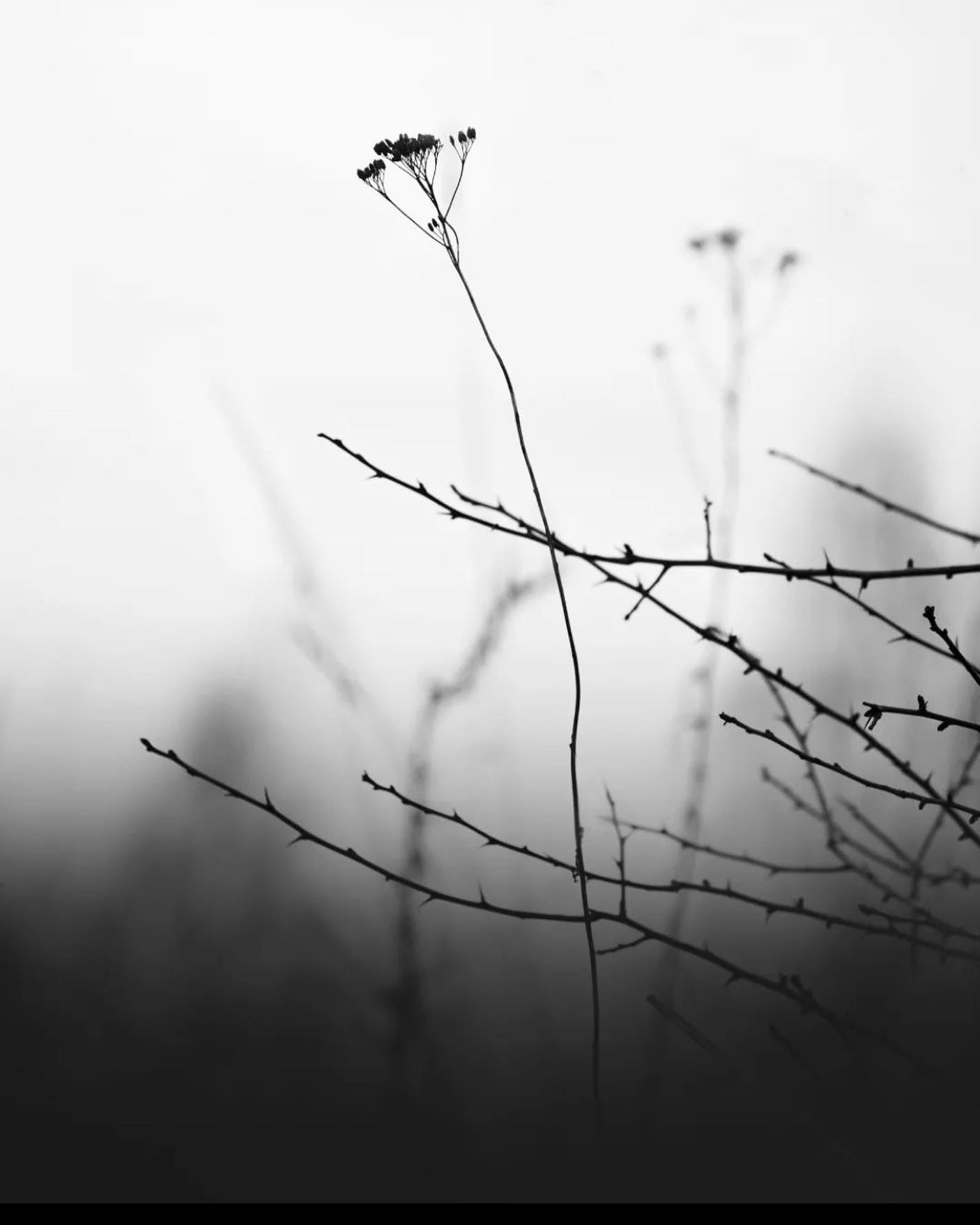 El residuo de un ardor emocional interno – CREANDO UTOPÍAS